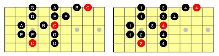 How to Play The Major Scale Guitar Guide for Beginners and Intermediate ...